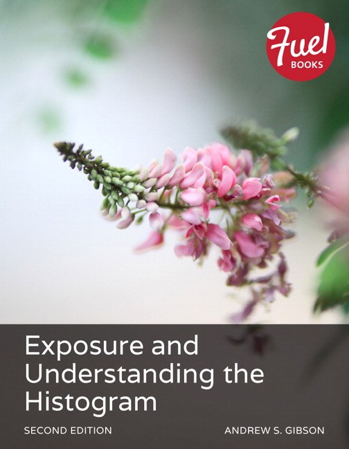 Exposure and Understanding the Histogram, 2nd Edition | Peachpit